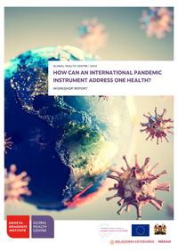 How can an international pandemic instrument address One Health?